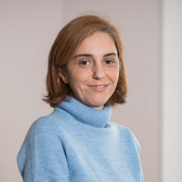 Órganos de Gobierno. Conoce a la ONG Nadiesolo.